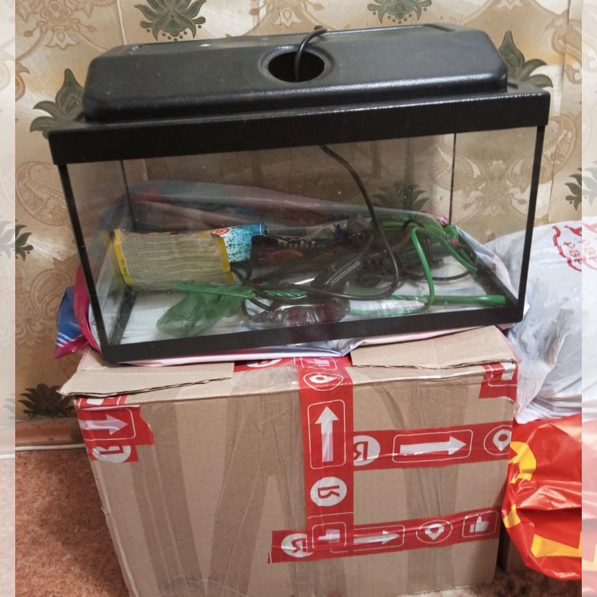 Аквариум 20 литров