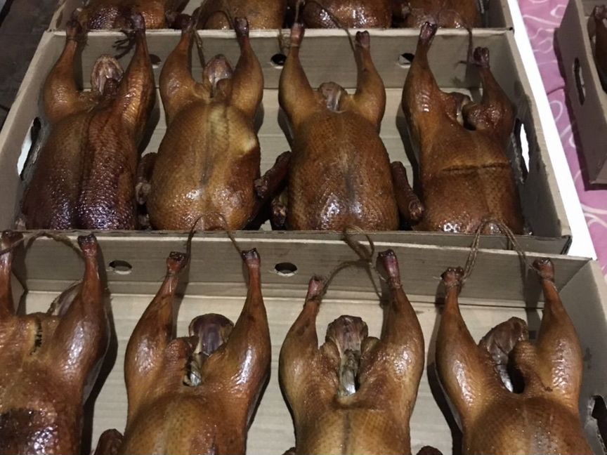 Утки Гуси горячего холодного корчения