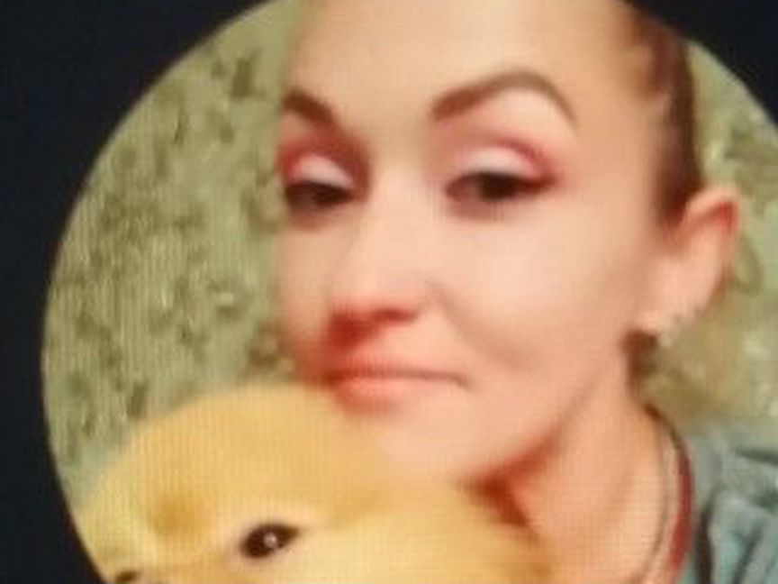 Собака в добрые руки отдам бесплатно