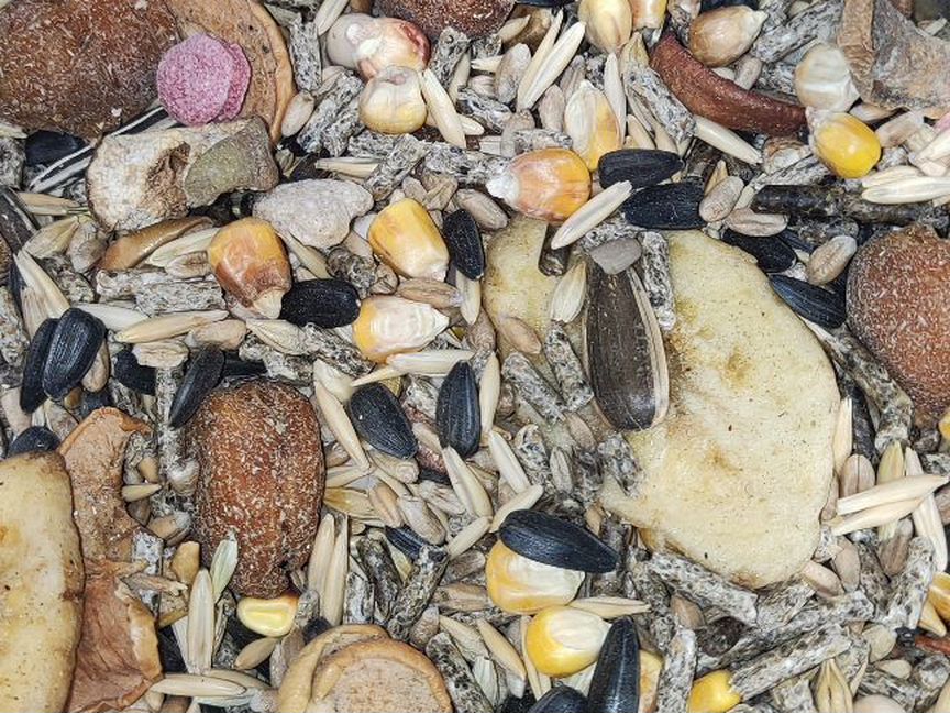 Корм, колеса и домики для грызунов