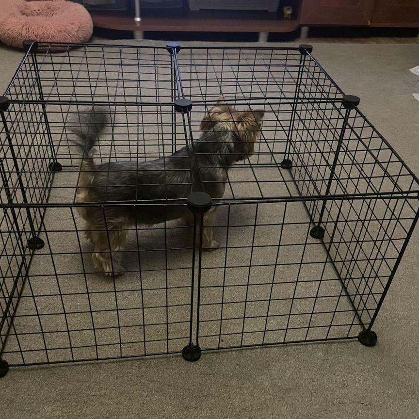 Вольер для животных 12 секций