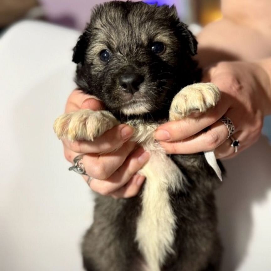 Внимательный малыш