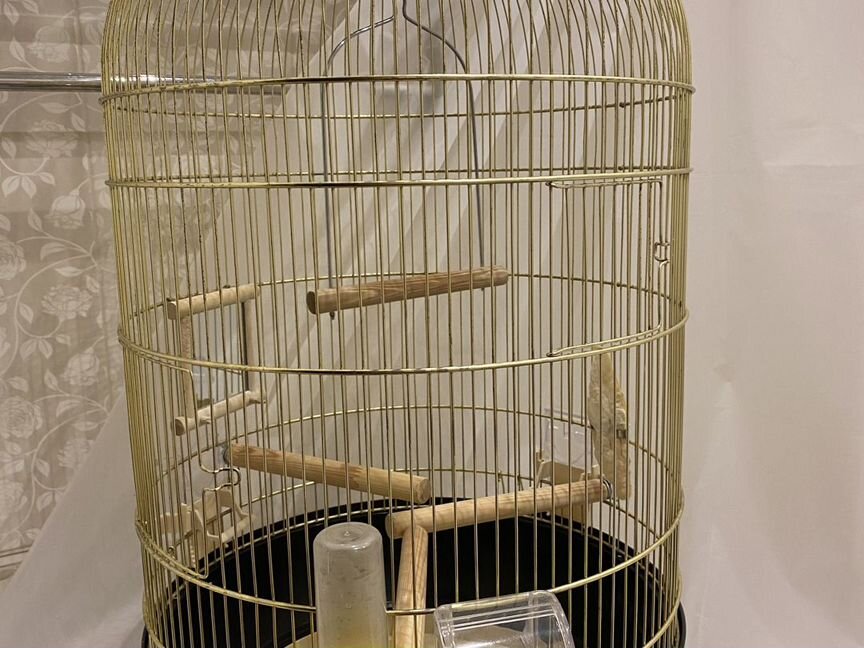 Клетка для среднего попугая