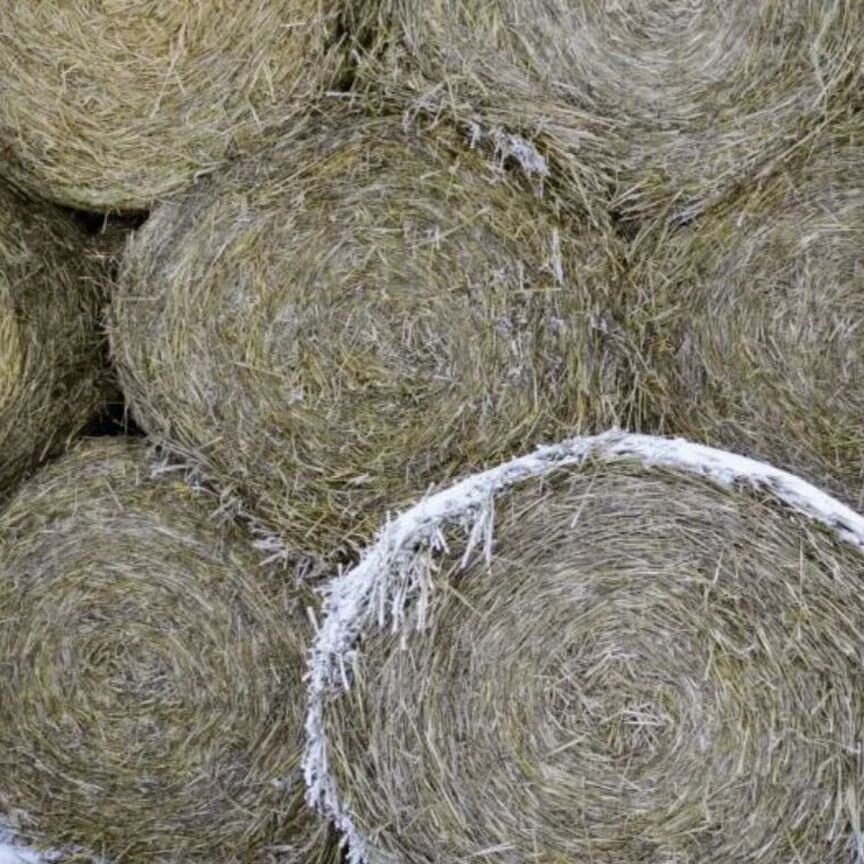 Рисовая солома в рулонах