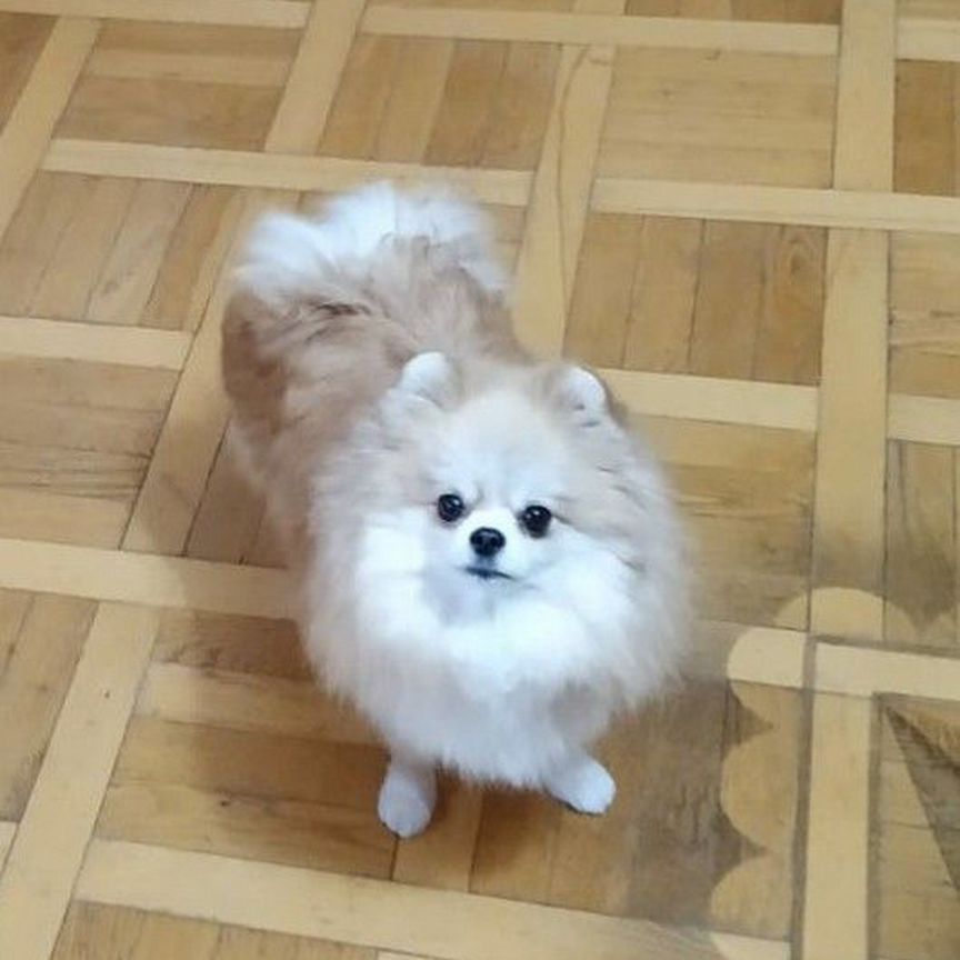 Взрослая рыжая девочка