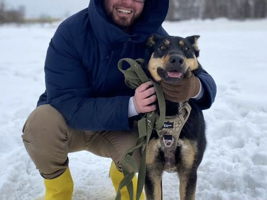 Харизматичный весельчак Ричард пропадает в приюте
