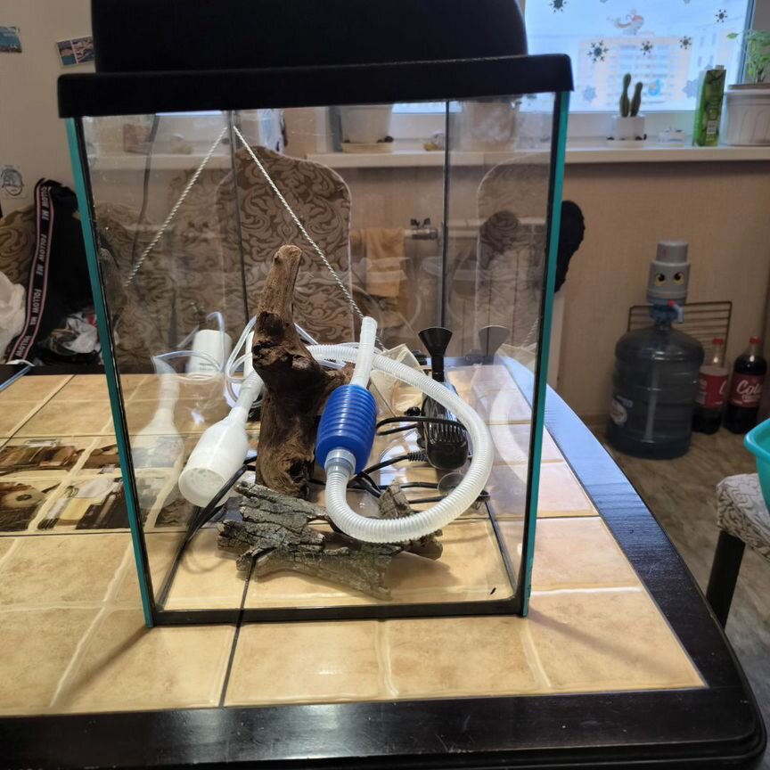 Аквариум с принадлежностями
