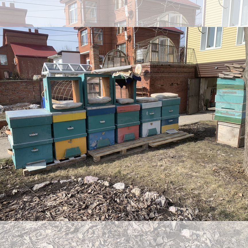 Ульи для пчел бу