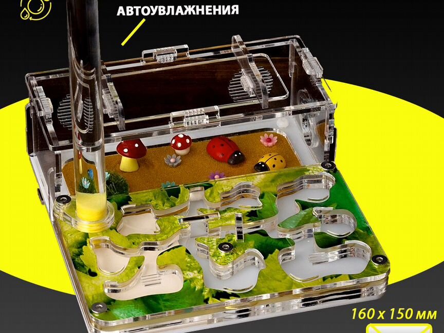 Муравьиная ферма (Формикарий) Мини