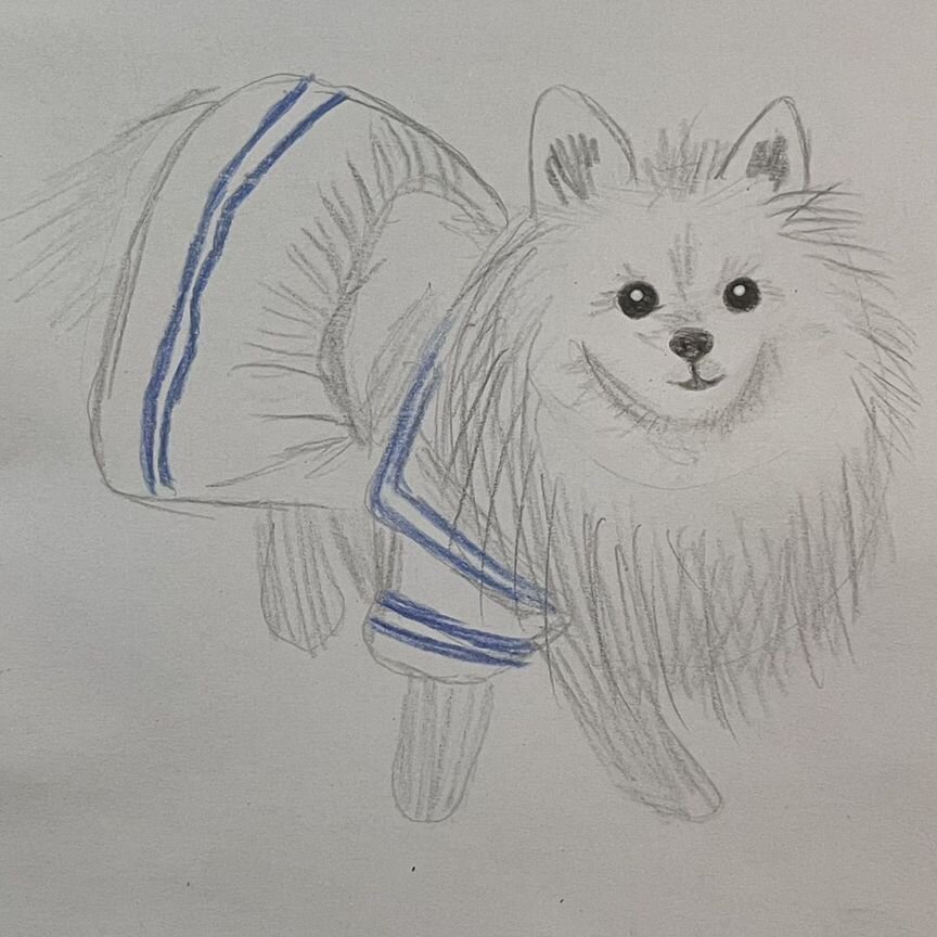 Рисую ваших питомцев