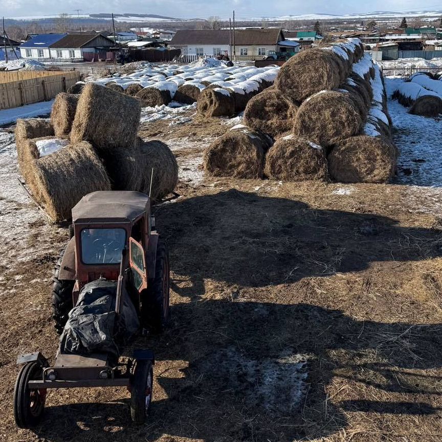 Продам сено в тюках,в большом обьеме
