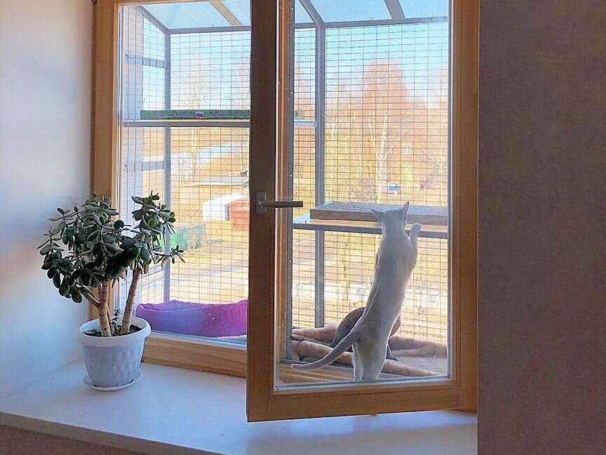Балкончик для кошки