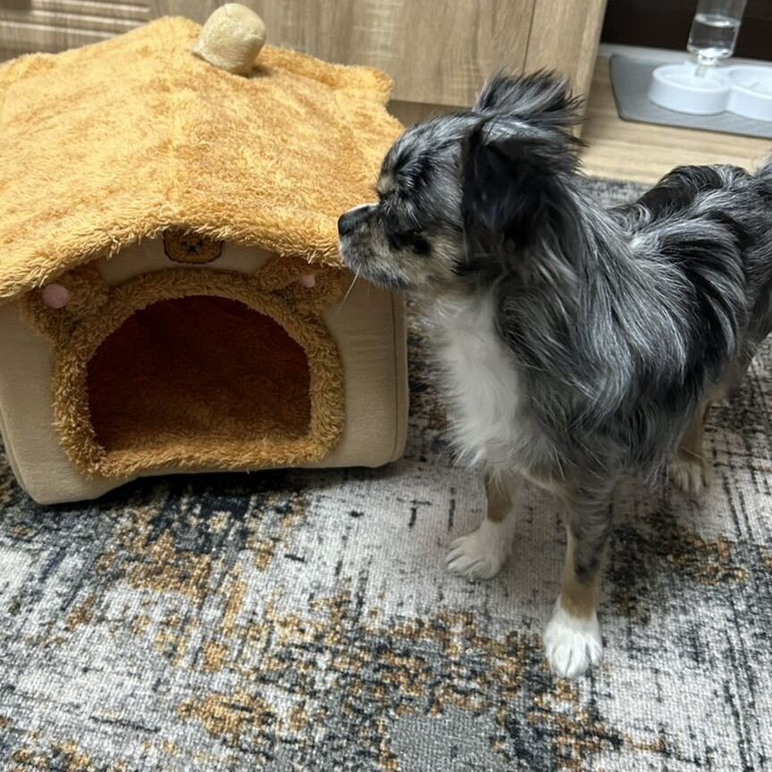 Домик мягкий для животных