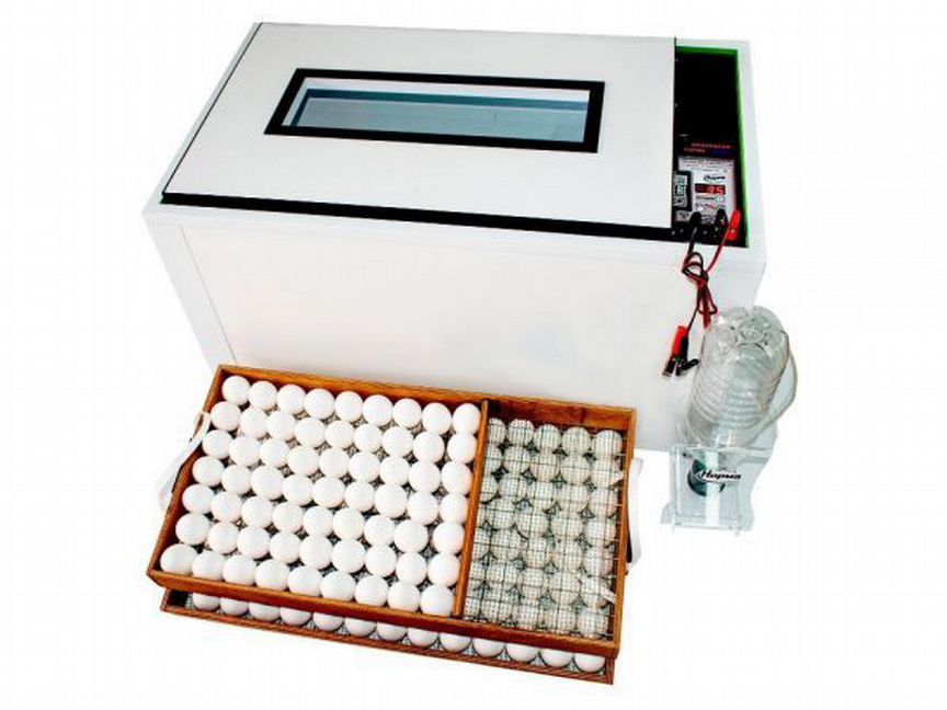 Автоматический инкубатор норма Урал, на 200 яиц