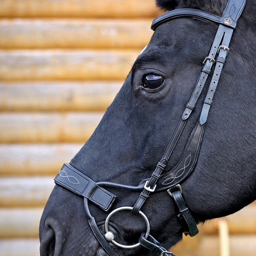 Оголовье full