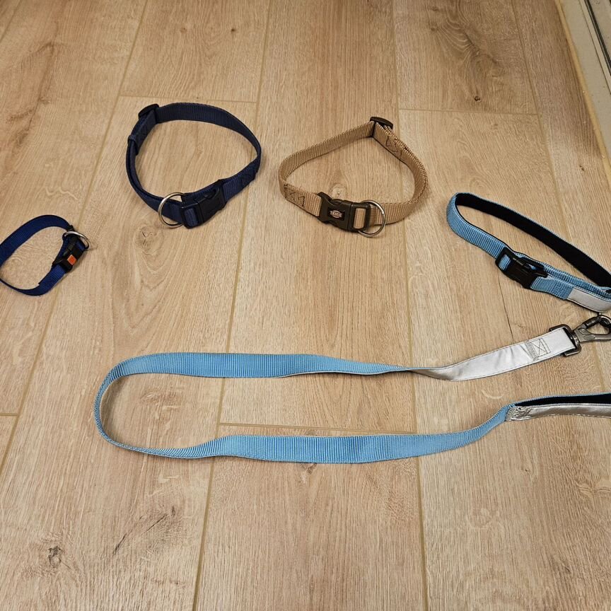 Амуниция для собак бесплатно