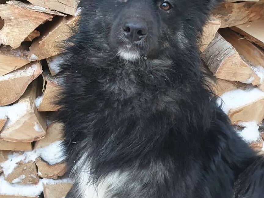 Помогите найти дом