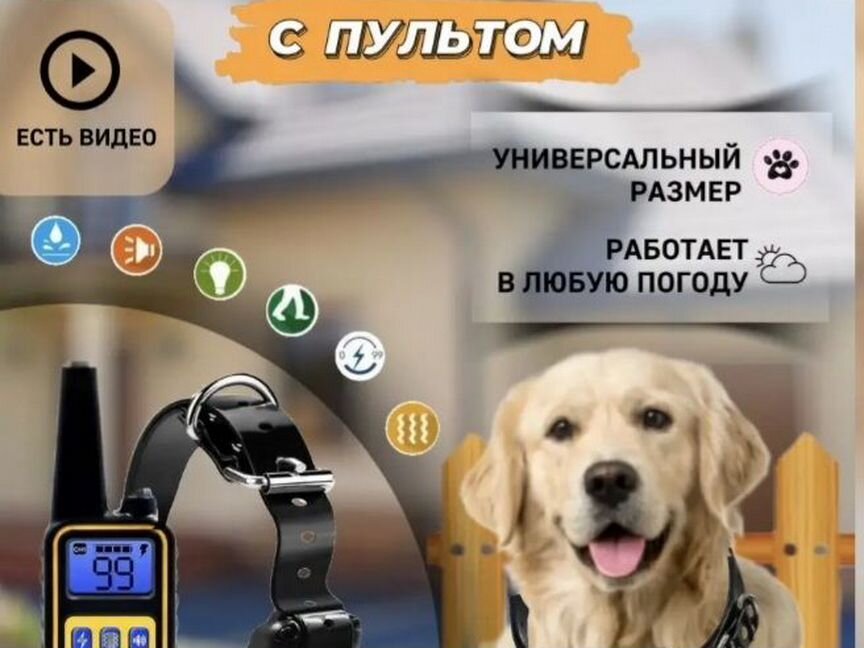 Электронный ошейник с пультом