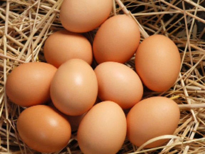 Продаю домашние куриные яйца