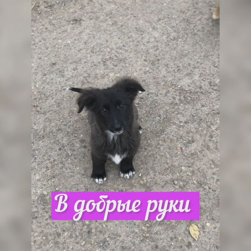 Милая девчуля ищет семью