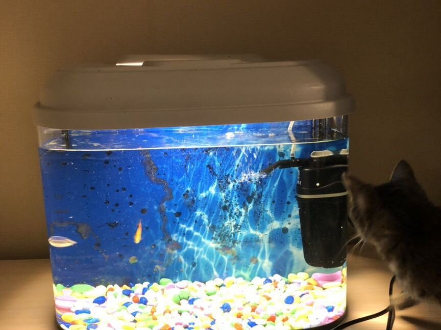 Аквариум б/у