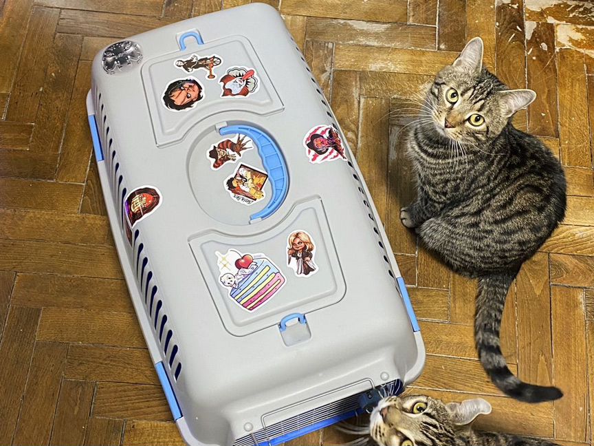 Переноска для кошек для животных