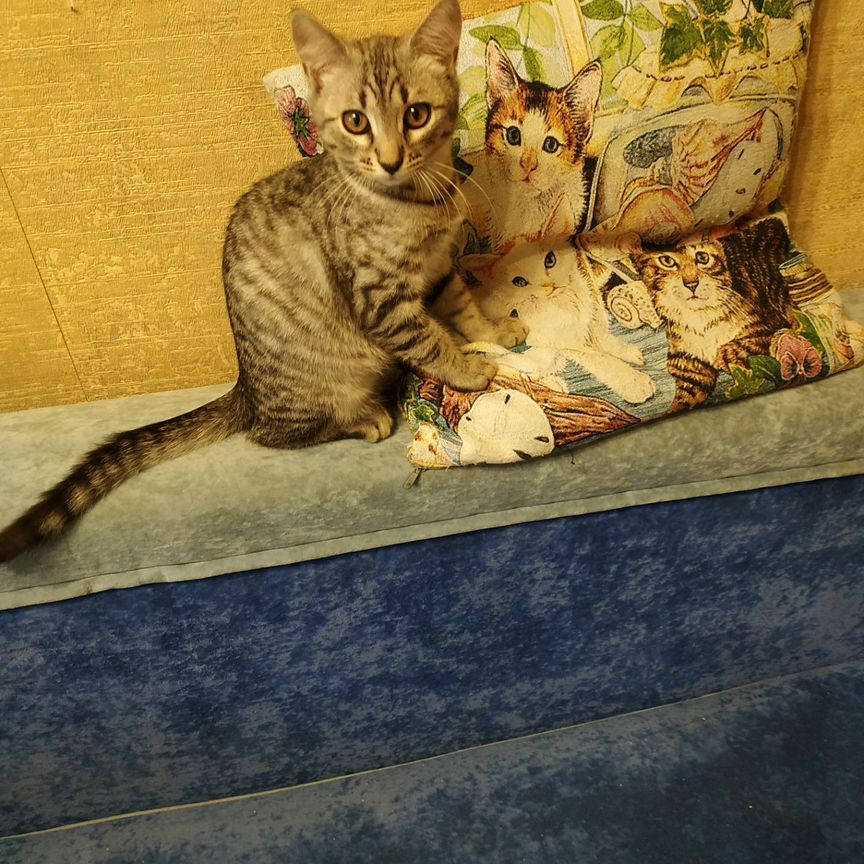 Мальчик Гоша