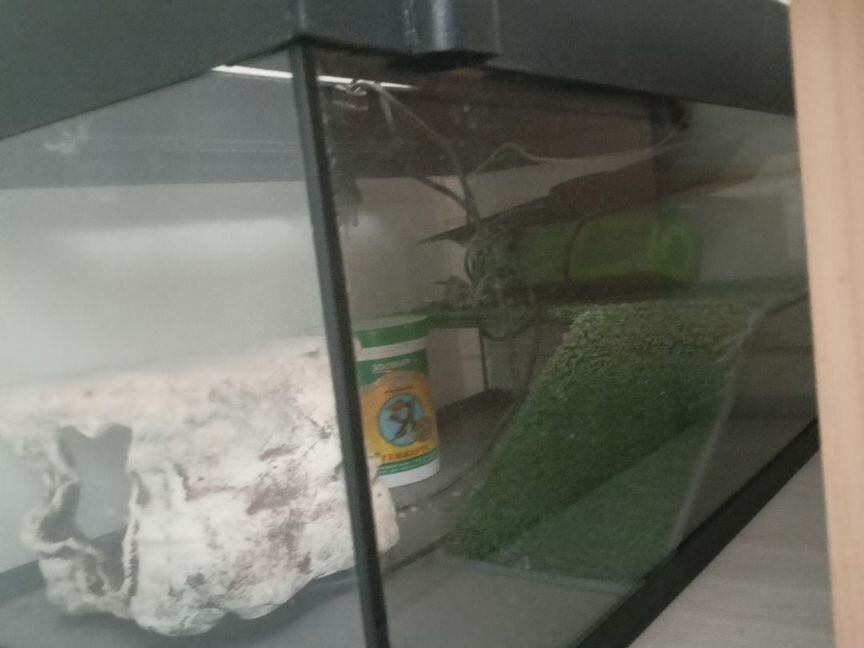 Террариум для черепахи