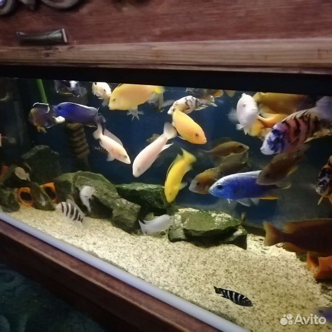 Украшение для аквариума