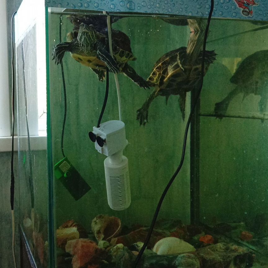 Аквариум без тумбы.б/у