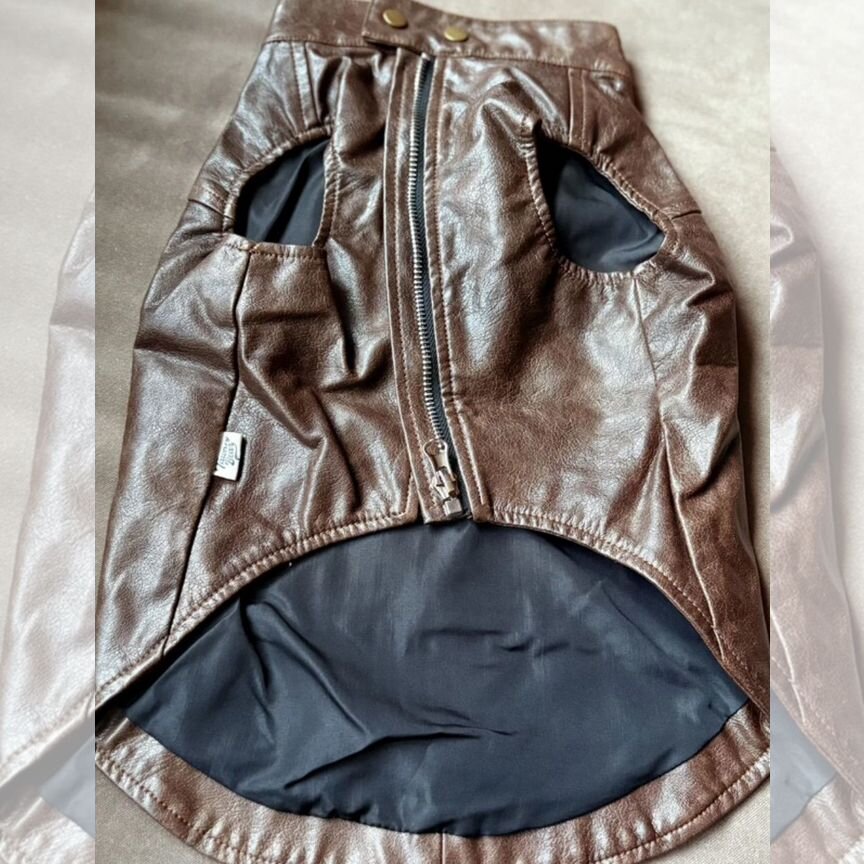 Одежда для собак