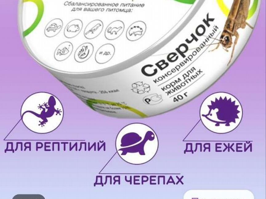Сверчок консервированный