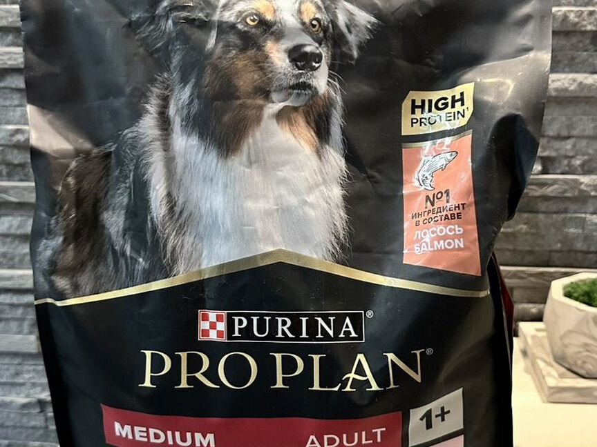 Продаю корм Pro plan для собак