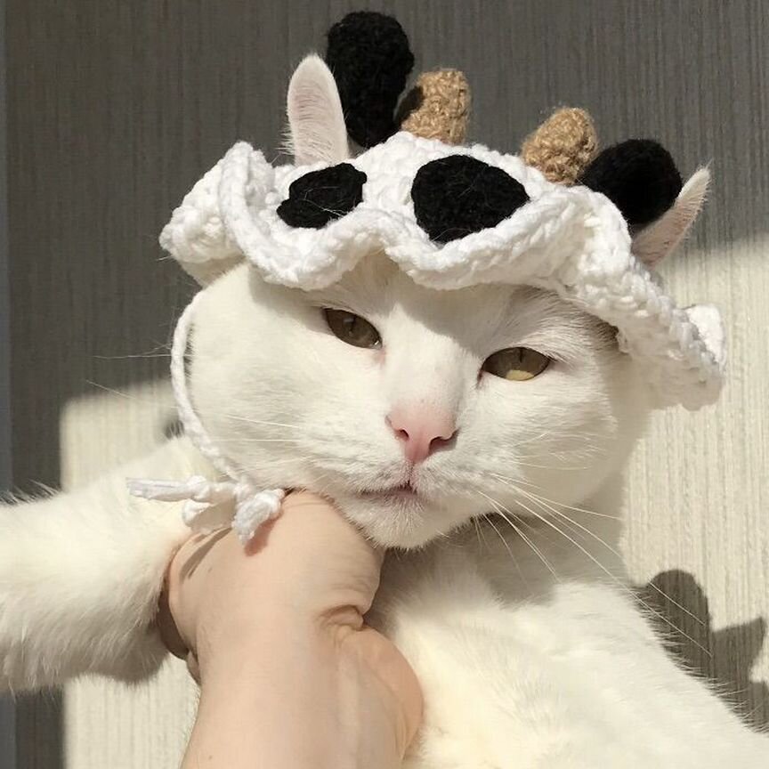 Шапочка / панама для кота или маленькой собачки