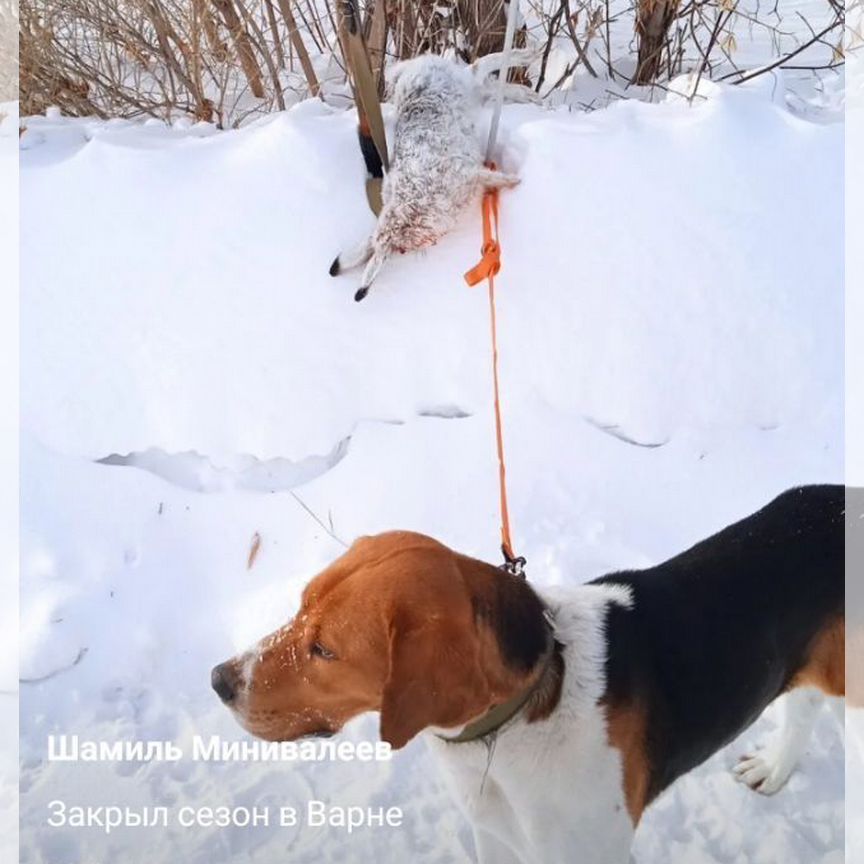 Вязка