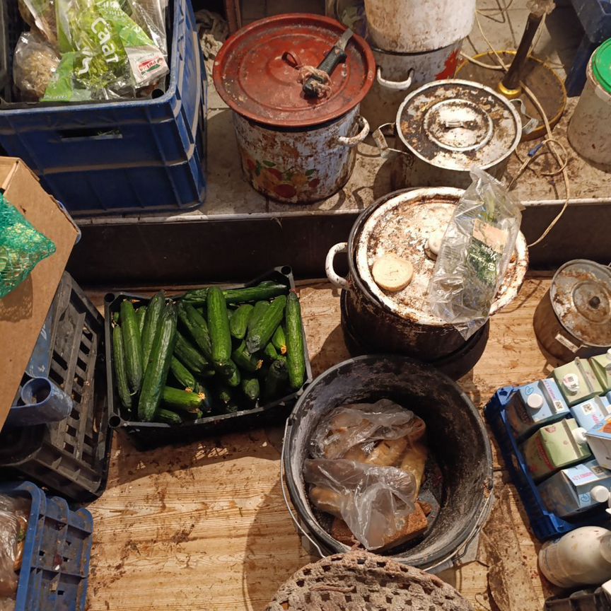 Корм для домашних животных