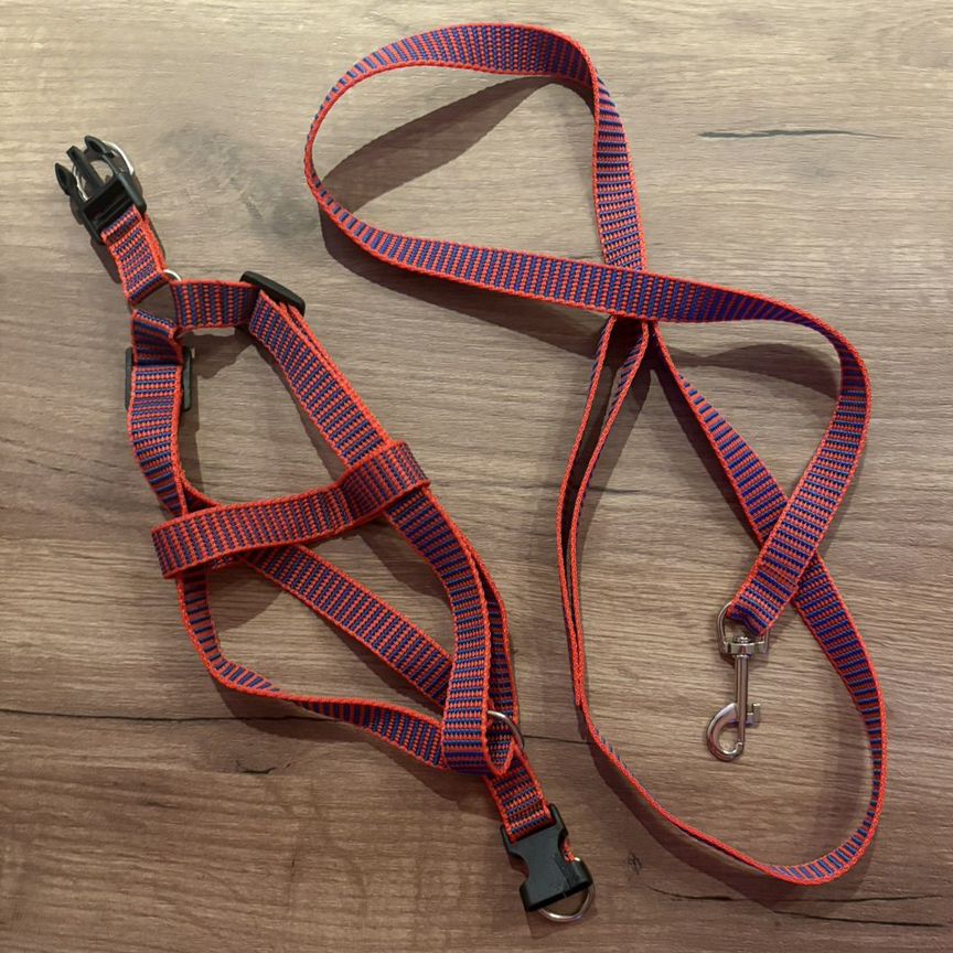 Шлейка и поводок для собаки