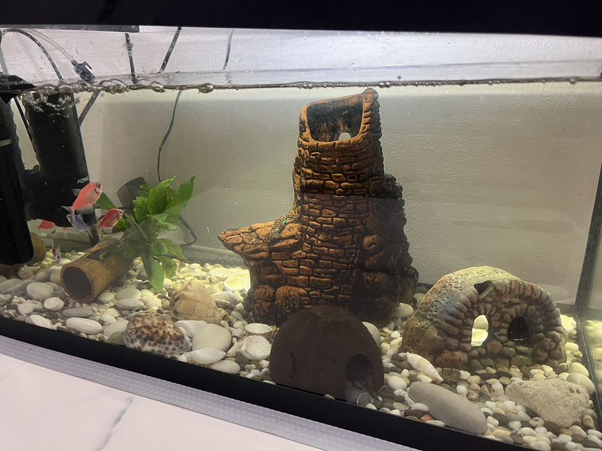 Аквариум в комплекте оборудование и рыбки