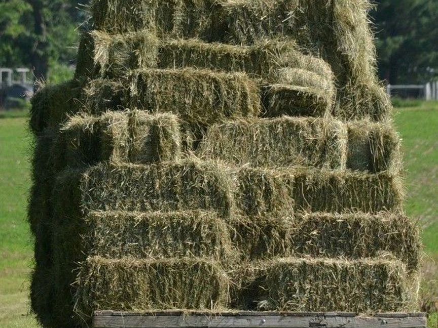 Сено солома в тюках