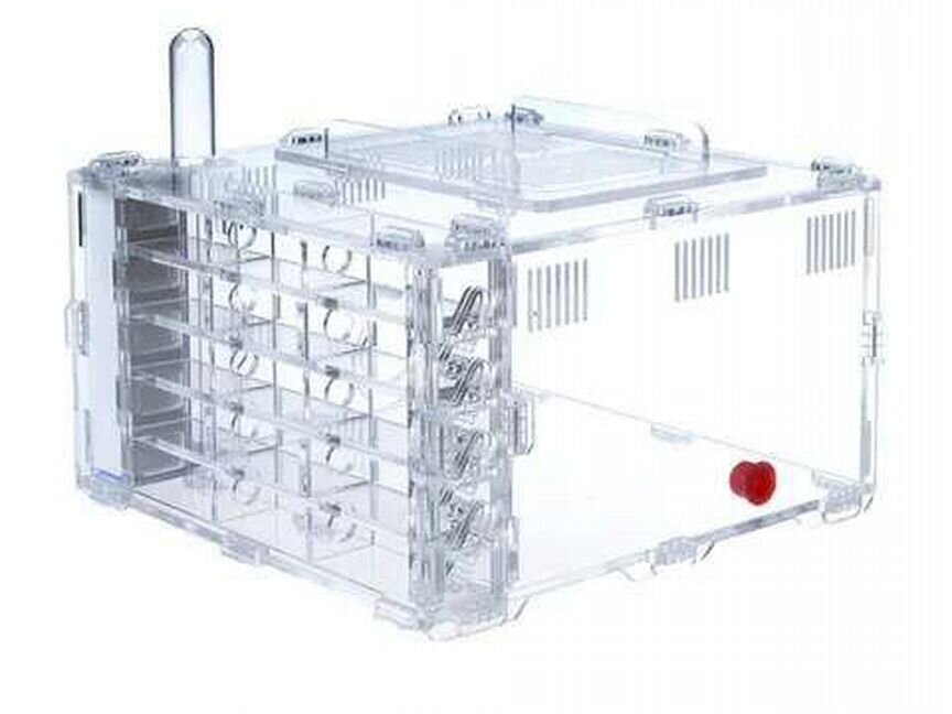 Муравьиная ферма формикарий Crystal L 3.0