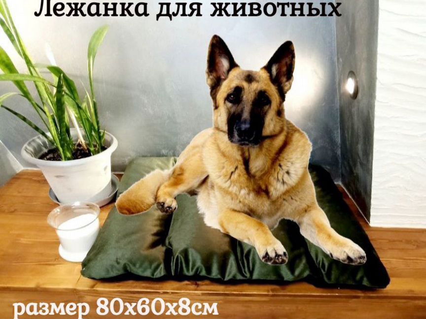 Лежанка для животных