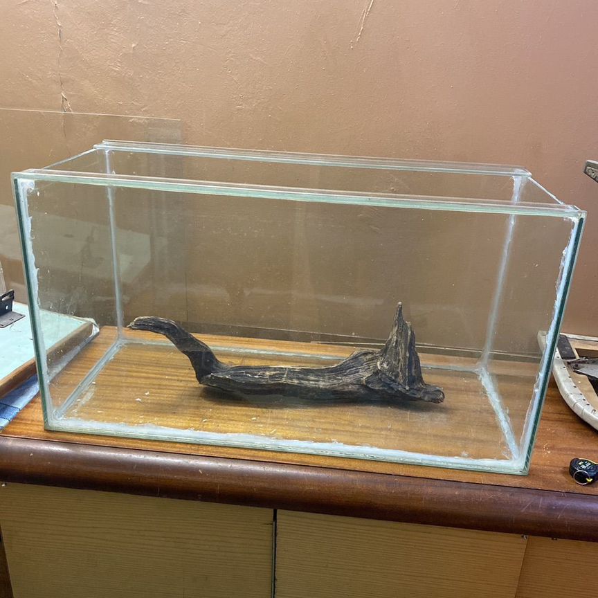 Аквариум, терариум