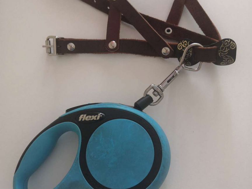 Рулетка для собак, шлейка, куртка