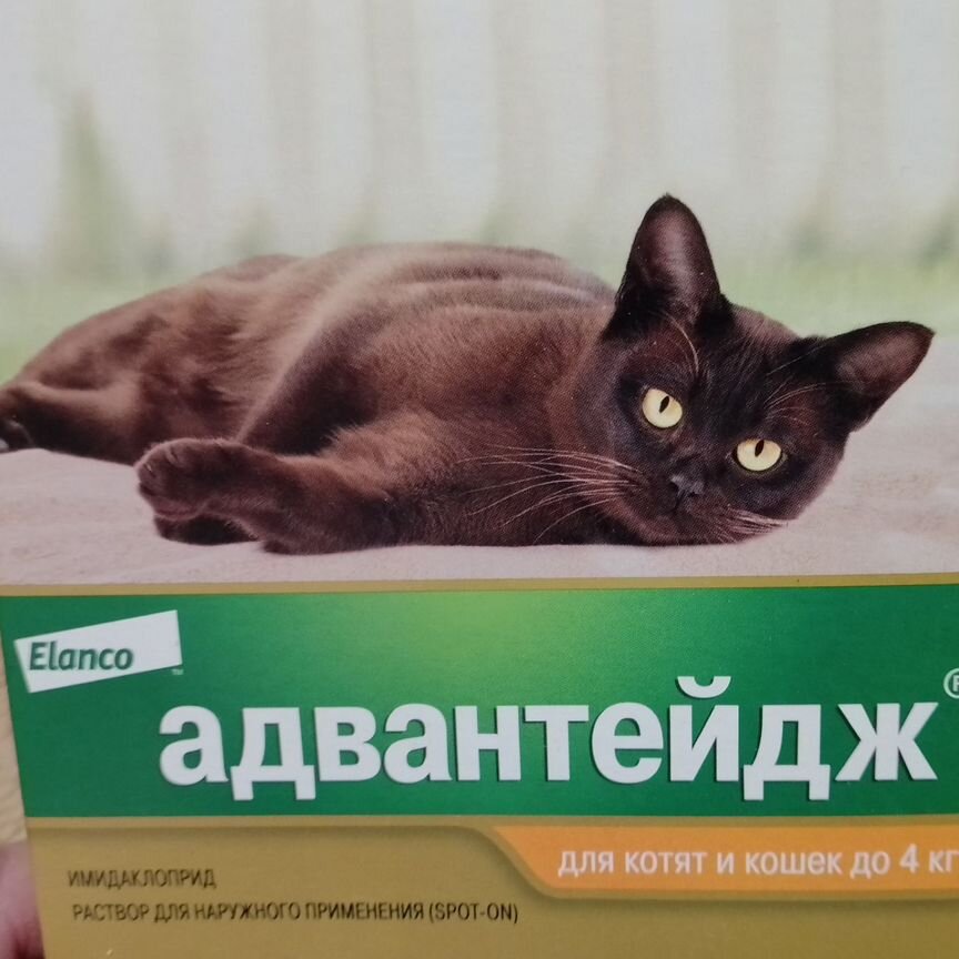 Корм для кошек