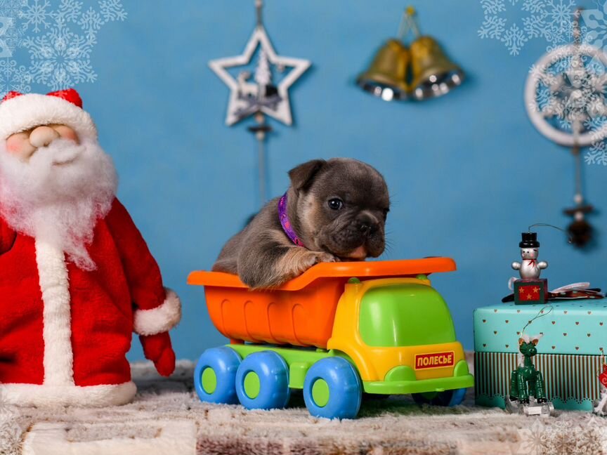 Голубая новогодняя мечта, топ-качество