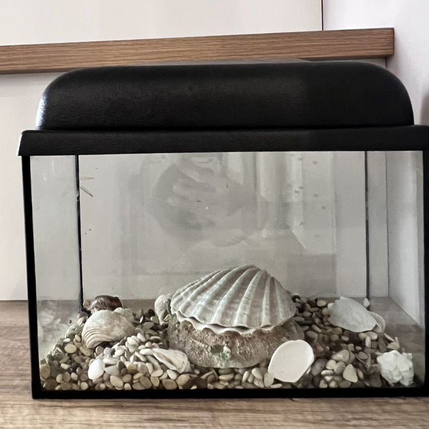 Аквариум 10 литров