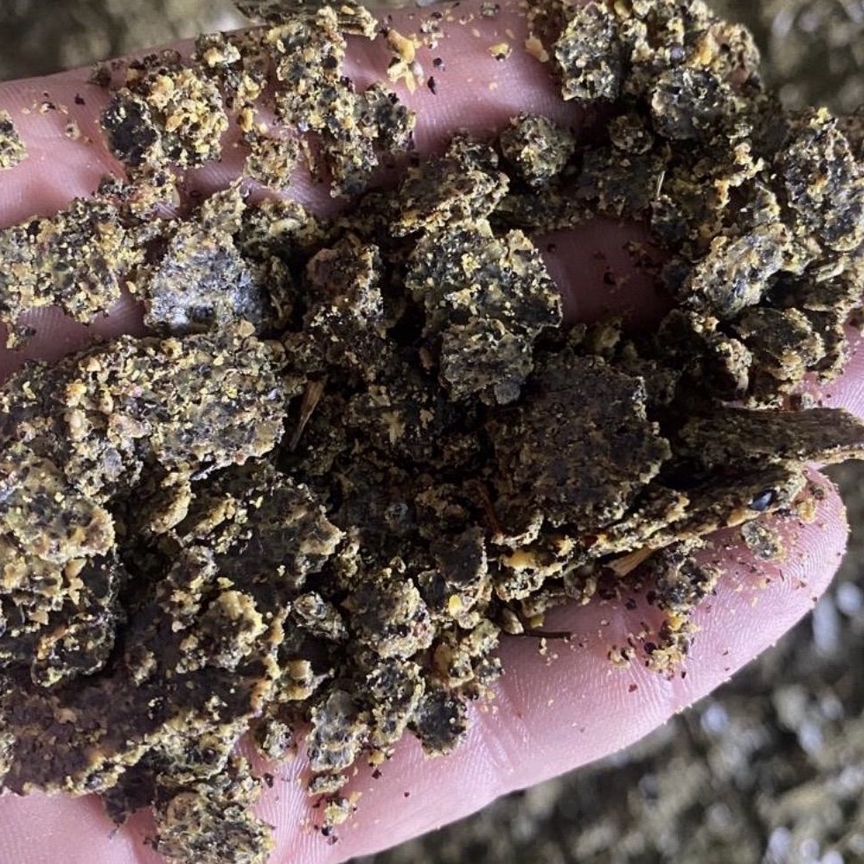 Жмых рапсовый от завода производителя