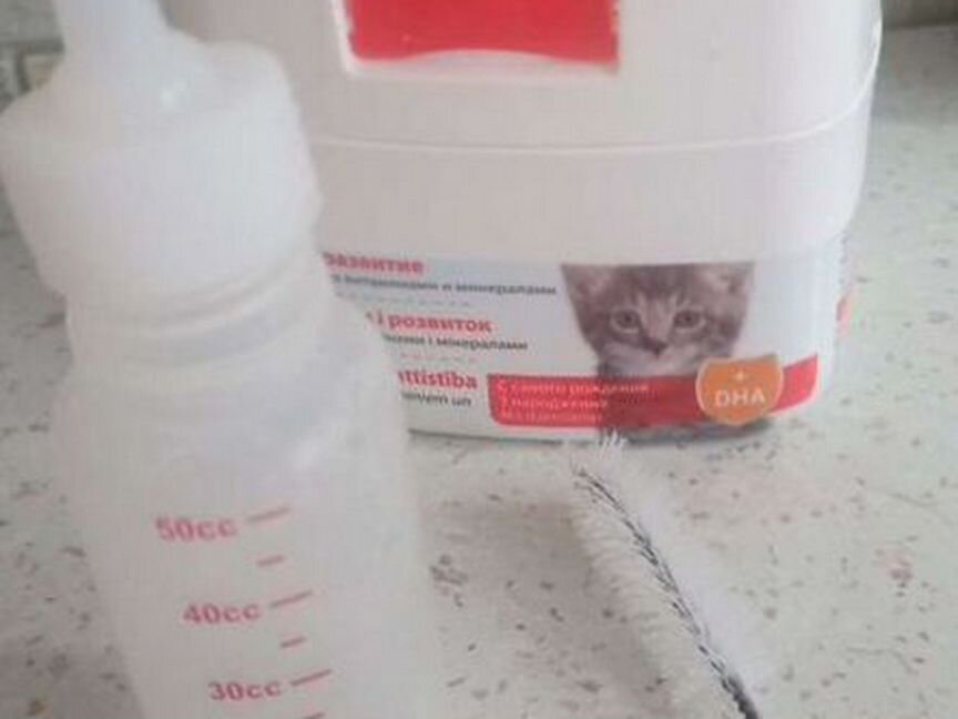 Смесь для кормления котят и бутылочка