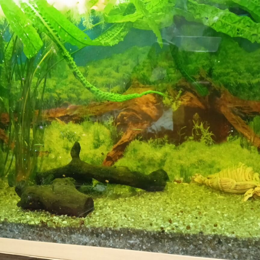 Аквариум 288 литров