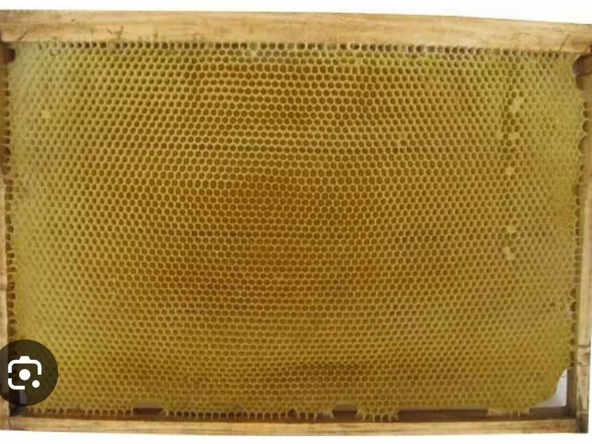 Сушь дадан и рут для пчёл